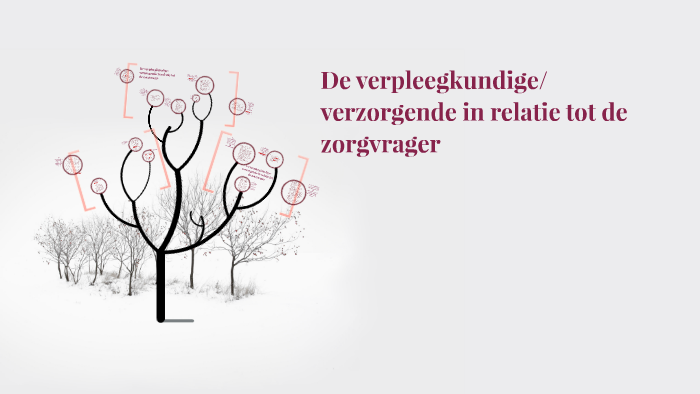 De verpleegkundige/verzorgende in relatie tot de zorgvrager by Lisanne ...