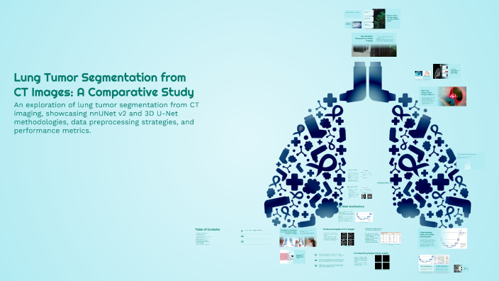Lung Tumor Segmentation from CT Images: A Comparative Study by Madhav ...