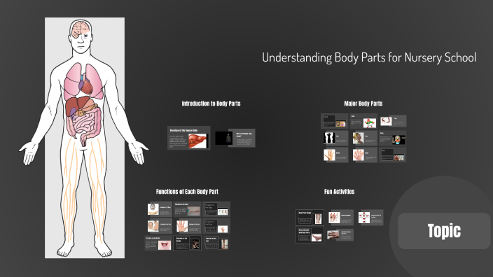 MY BODY by Elena Todeschini on Prezi