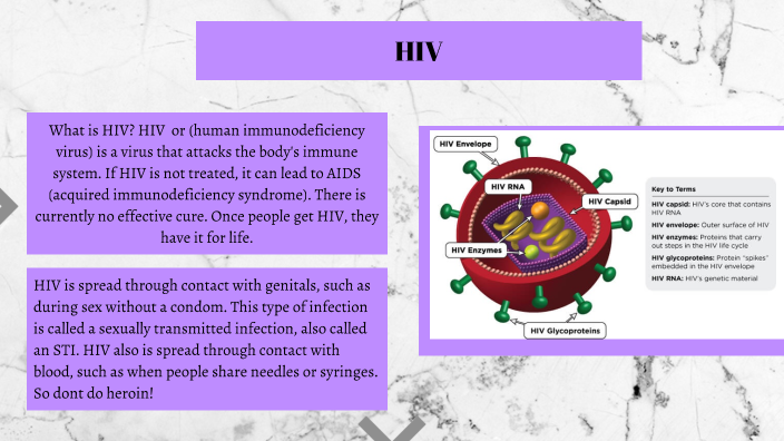 HIV vs your body by Milo Dutkiewicz on Prezi