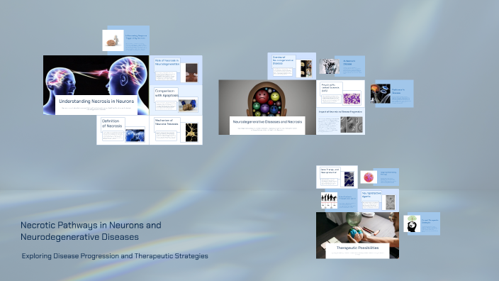 Necrotic Pathways in Neurons and Neurodegenerative Diseases by S Khxn ...