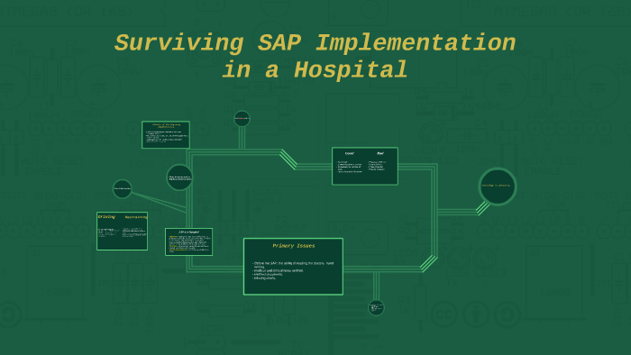 Surviving SAP Implementation in a Hospital by Te'Andrea James on Prezi