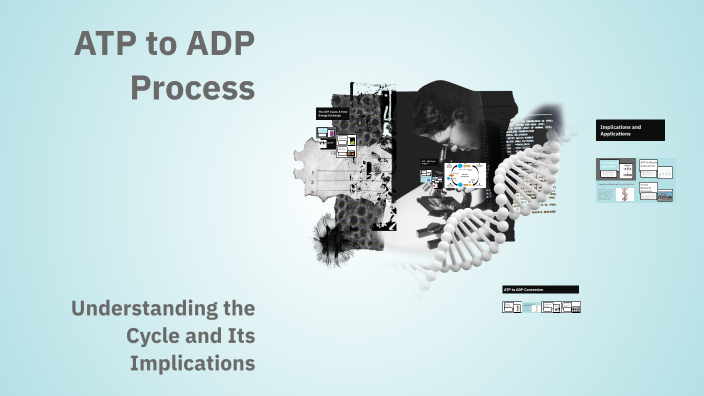 ATP to ADP Process by Xyryl Llego on Prezi