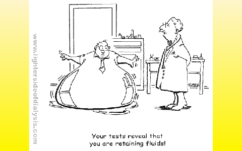 Osmosis and Diffusion in the Kidney by Amanda Reasoner on Prezi