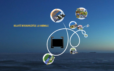Tatuc Victoria - Relatii interspecifice la animale by tatuc victoria on ...