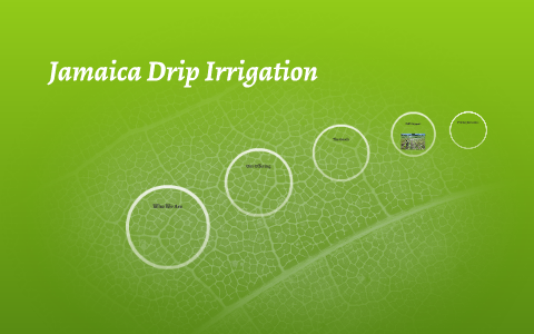 Jamaica Drip Irrigation by Benjamin Hodara on Prezi