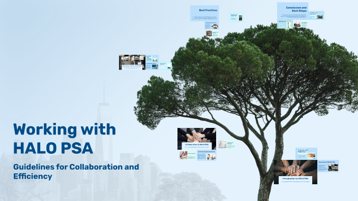 Working with HALO PSA by Staffan Bergström on Prezi