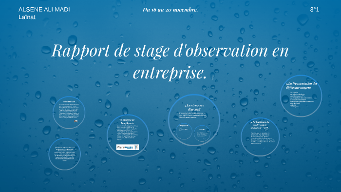 Rapport de stage d'observation en entreprise. by Anat Séne on Prezi
