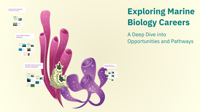 Exploring Marine Biology Careers by Josiah Perkins on Prezi