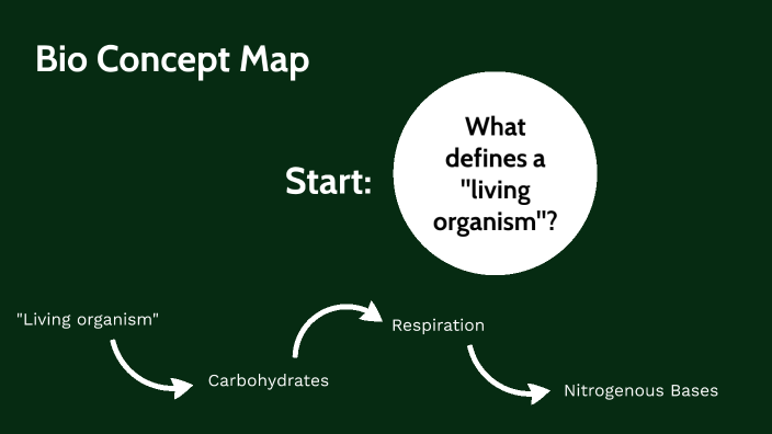 Bio Concept Map by Lori Donohoe on Prezi