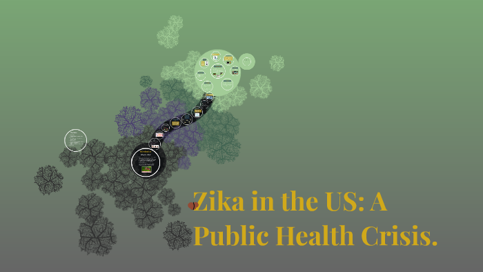 Zika in the US: A Public Health Crisis. by Rhonda Philp on Prezi