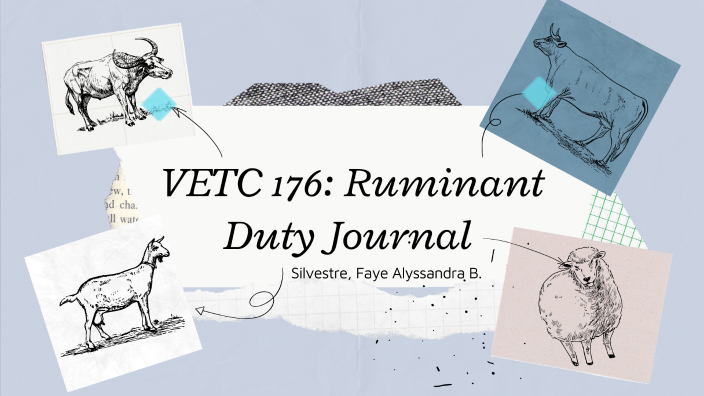Ruminant Journal - Silvestre by Faye Alyssandra Silvestre on Prezi