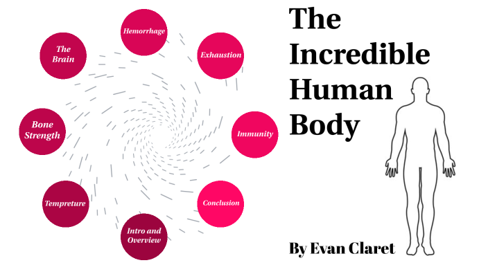 IMP Human Body by Student Evan Claret on Prezi