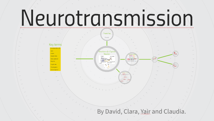 Neurotransmission