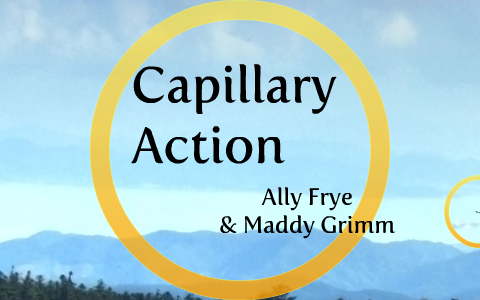 Capillary Action by Ally Frye on Prezi