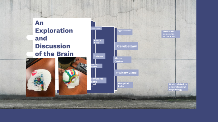 An Exploration and Discussion of the Brain by Dirichi James-Osondu on Prezi