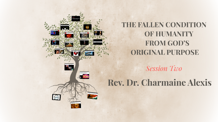 THE FALLEN CONDITION OF HUMANITY FROM GOD’S ORIGINAL PURPOSE by Rene ...