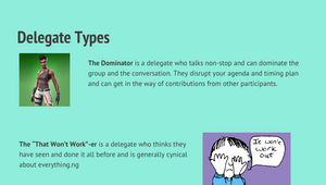 Delegate Types Overview by Nici Caesar on Prezi Design