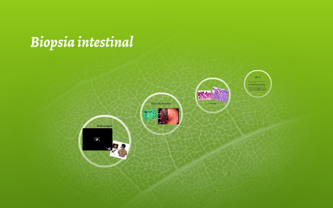 Biopsia intestinal by Catiita Jara Méndez on Prezi