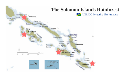 The Solomon Islands Rainforest by Alice Southby on Prezi