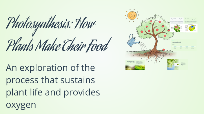 Photosynthesis: How Plants Make Their Food by May H on Prezi