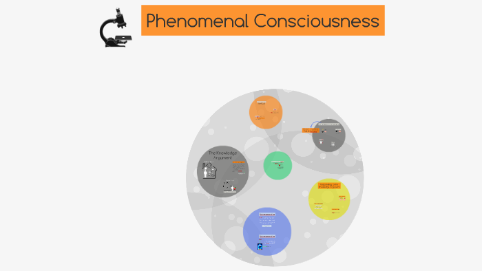 Phenomenal Consciousness by Rebecca Mason on Prezi
