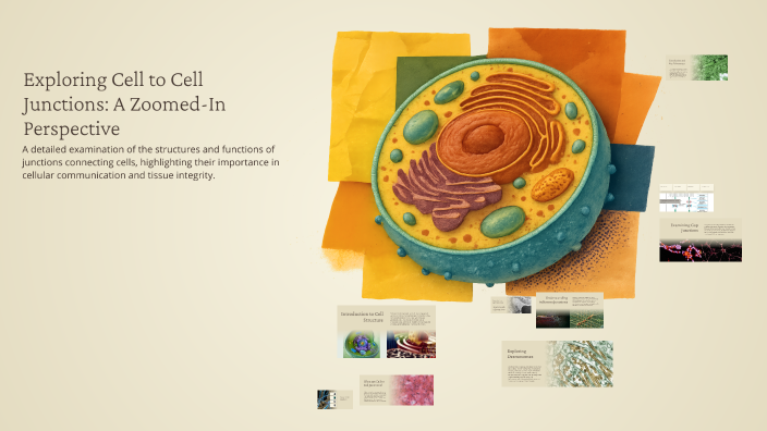 Exploring Cell to Cell Junctions: A Zoomed-In Perspective by on Prezi