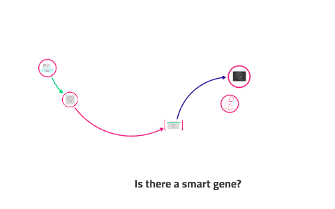 Is there a smart gene? by Grace Kuang on Prezi