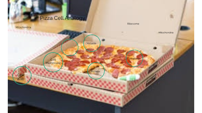 Pizza Cell Analogy by Payton Pond on Prezi