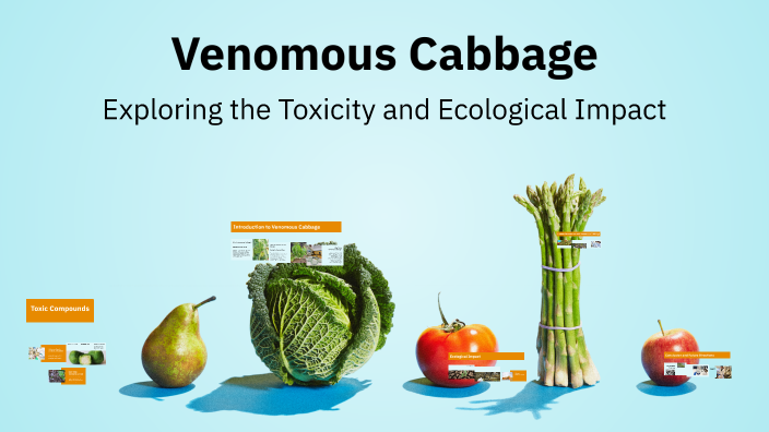Venomous Cabbage by Anusha M S on Prezi