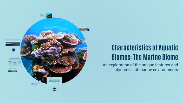 Characteristics of Aquatic Biomes: The Marine Biome by Tulba Nicolae on ...