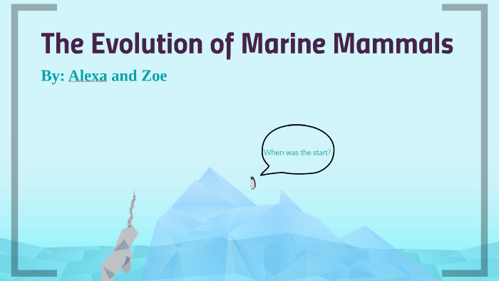 The Evolution Of Marine Mammals by Alexa Chong