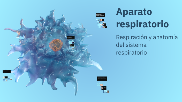 Aparato respiratorio by Sheimae Azza Salhi on Prezi