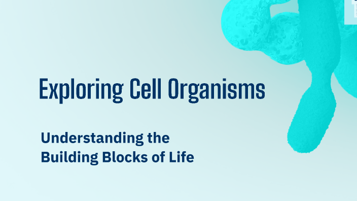 Exploring Cell Organisms by Mariah Southard on Prezi
