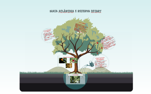 mata atlântica e reserva betary by Luis Rubia on Prezi