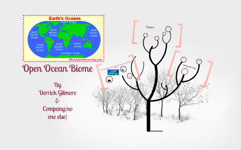 Open Ocean Biomes by Derrick G. on Prezi