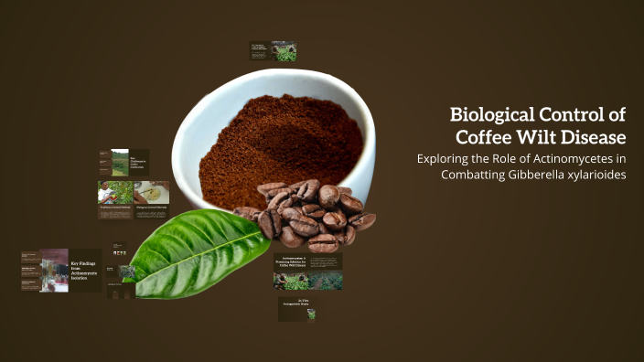 Biological Control of Coffee Wilt Disease by SERGIO ÁLAVEZ on Prezi