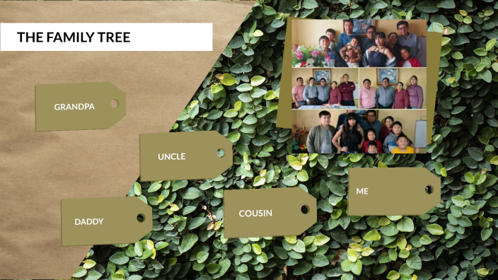 THE FAMILY TREE by Gabriel Mora Quinga on Prezi