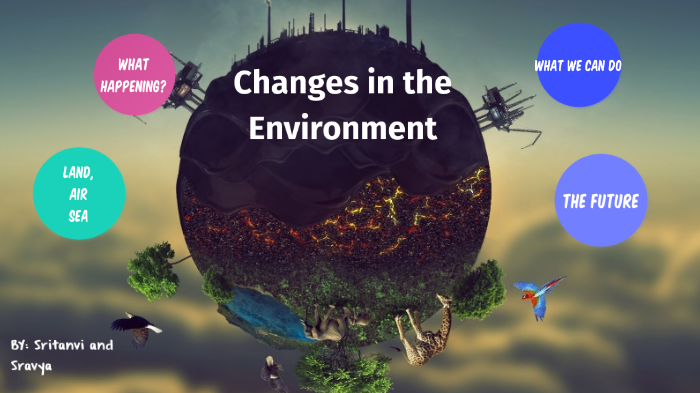 Changes in the Environment by Sritanvi Karthik on Prezi