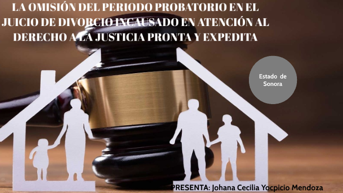LA OMISIÓN DEL PERIODO PROBATORIO EN EL JUICIO DE DIVORCIO INCAUSADO by ...