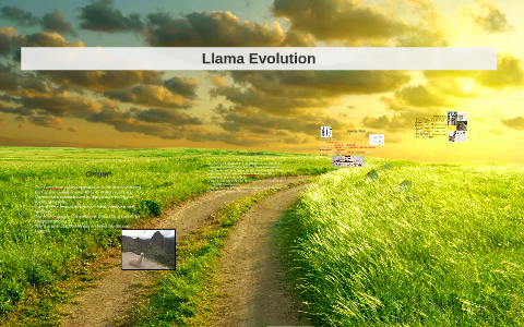 Llama Evolution by Madison Jackson on Prezi