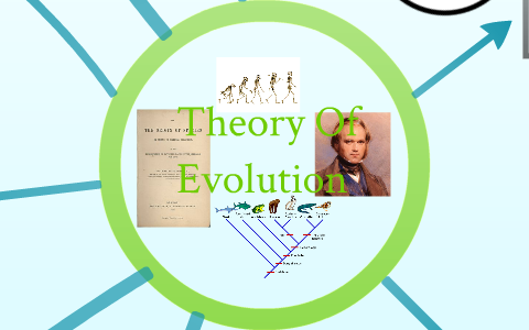 Evolution Mind Map by Victoria Rizzi on Prezi