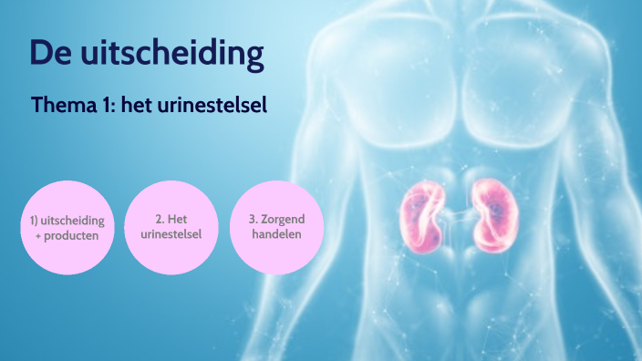 uitscheiding by Marlies Bens on Prezi