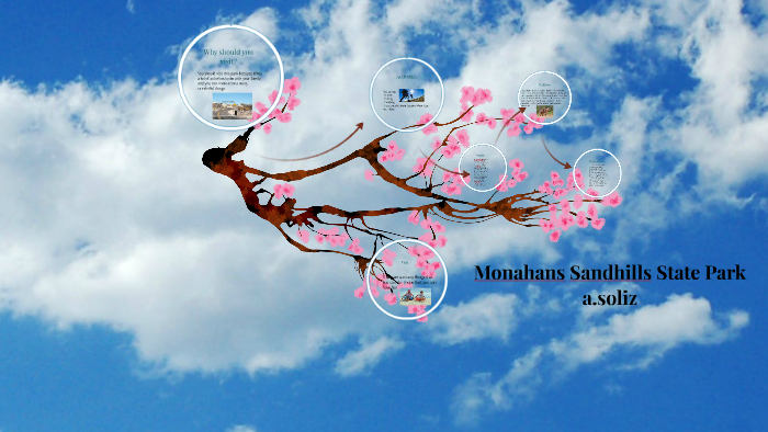 monahans sandhills state park by abigail soliz on Prezi