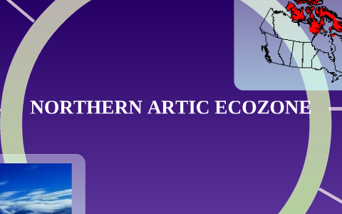 NORTHERN ARTIC ECOZONE by Sarah Scruton on Prezi