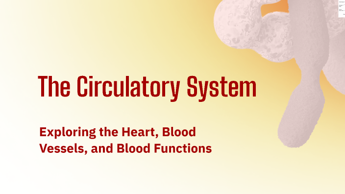 Understanding the Circulatory System by vaness morales on Prezi