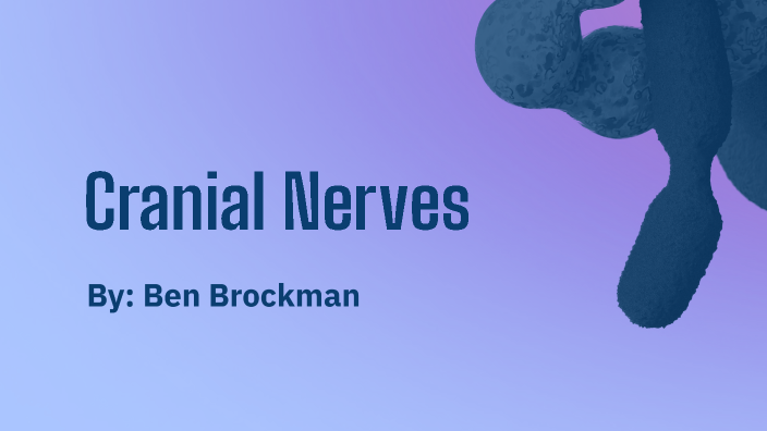 Cranial Nerves by Benjamin Brockman on Prezi