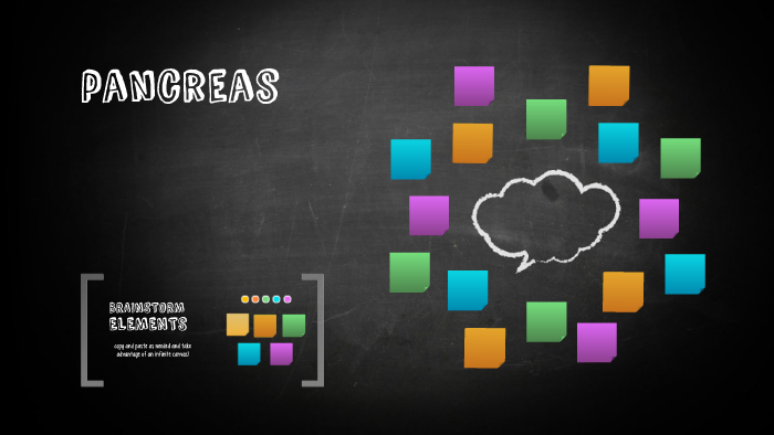 pancreas by Mona Badran on Prezi