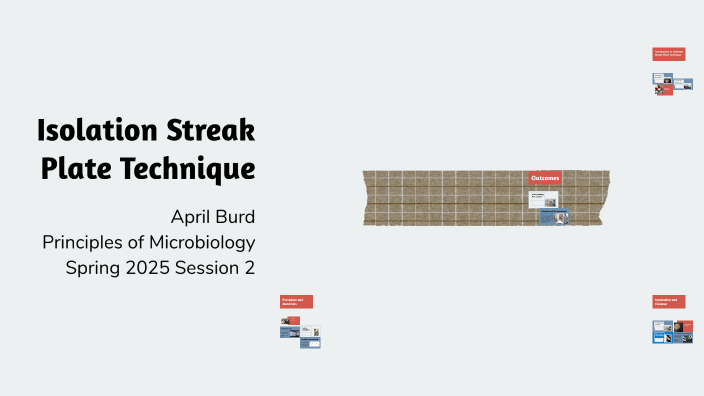 Isolation Streak Plate Technique by April Burd on Prezi