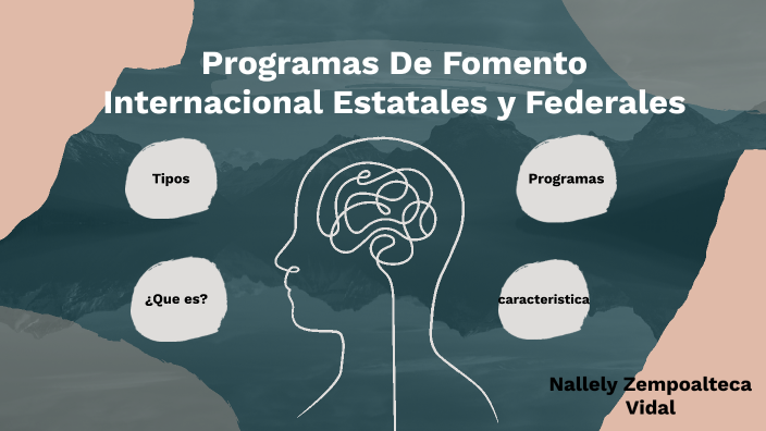 Programas de fomento internacional estatales y federales by Nallely ...